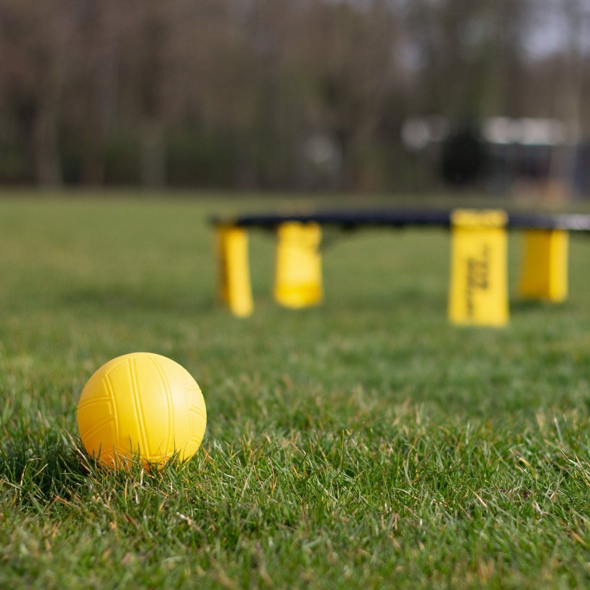 Spikeball Set (Standard) – Roundnet Marketplace